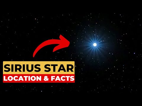 Sirius Star: 10 Facts About the Brightest Star - RankedFacts.com