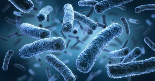 Bizarre Bacteria: 10 Unbelievable Facts You Won't Believe - RankedFacts.com